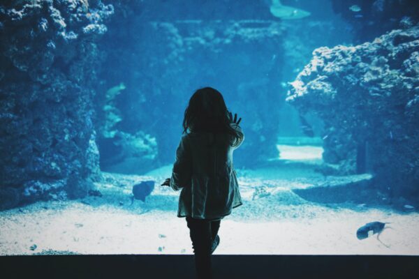 15+ Weekend Children Activities to Enjoy with Your Kids! - Play. Learn ...