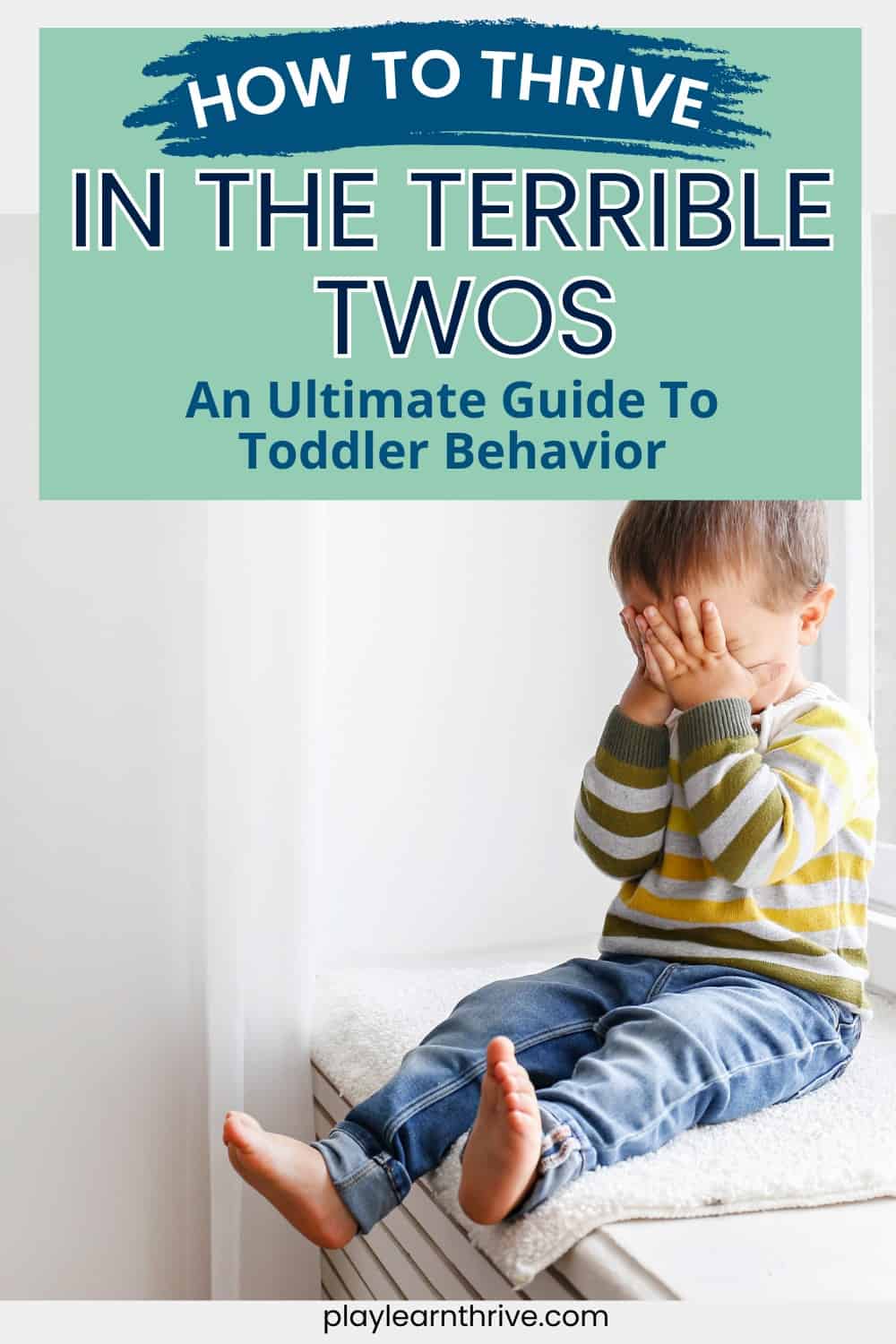 Thriving in the "Terrible Twos”: A Guide to Understanding and Managing ...