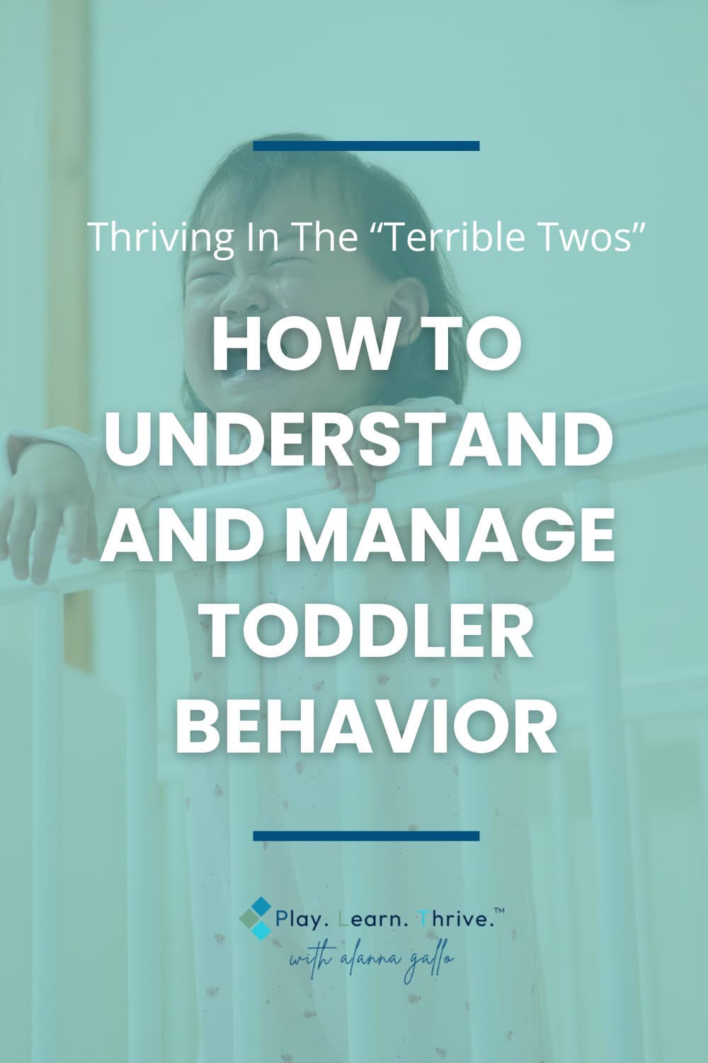 Thriving in the "Terrible Twos”: A Guide to Understanding and Managing ...