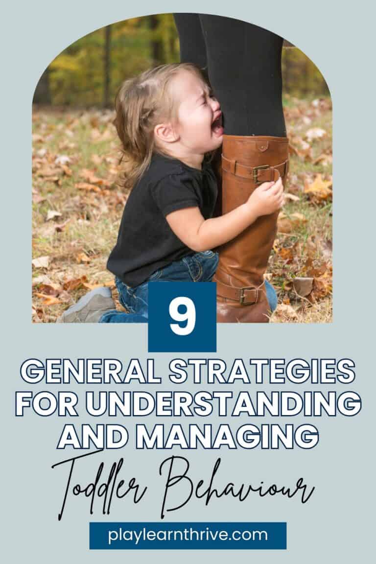 Thriving in the "Terrible Twos”: A Guide to Understanding and Managing ...
