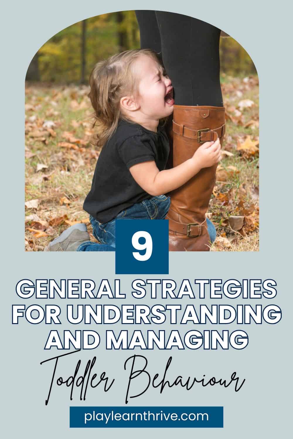 Thriving in the "Terrible Twos”: A Guide to Understanding and Managing ...
